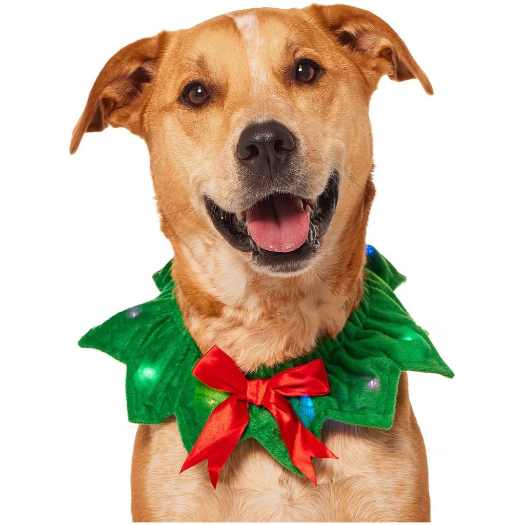 Best Christmas gifts for dogs 2026 chosen by dog owners | PetsRadar