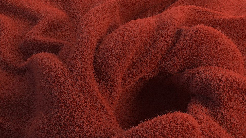 Create a furry 3D character from scratch | Creative Bloq