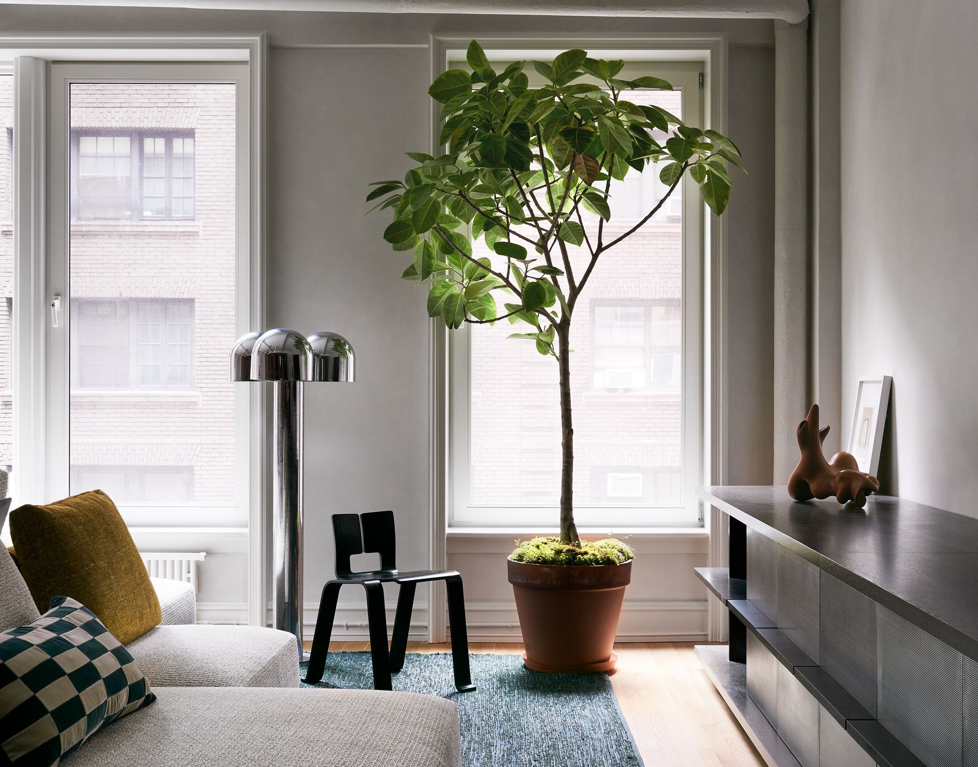 How to Underplant Houseplants for a Fuller Foliage Display | Livingetc