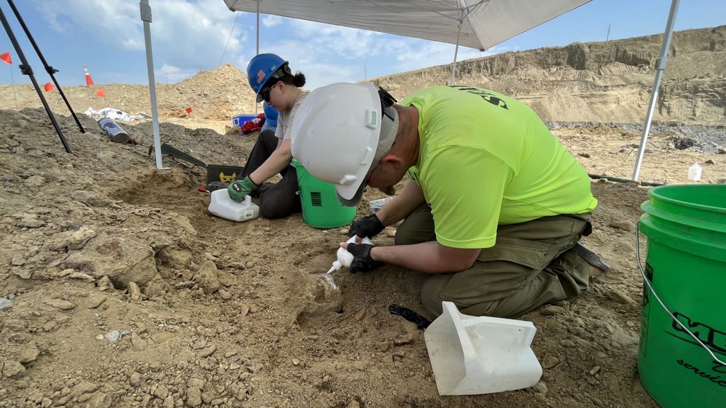 Huge, complete mammoth tusk accidentally discovered by North Dakota ...
