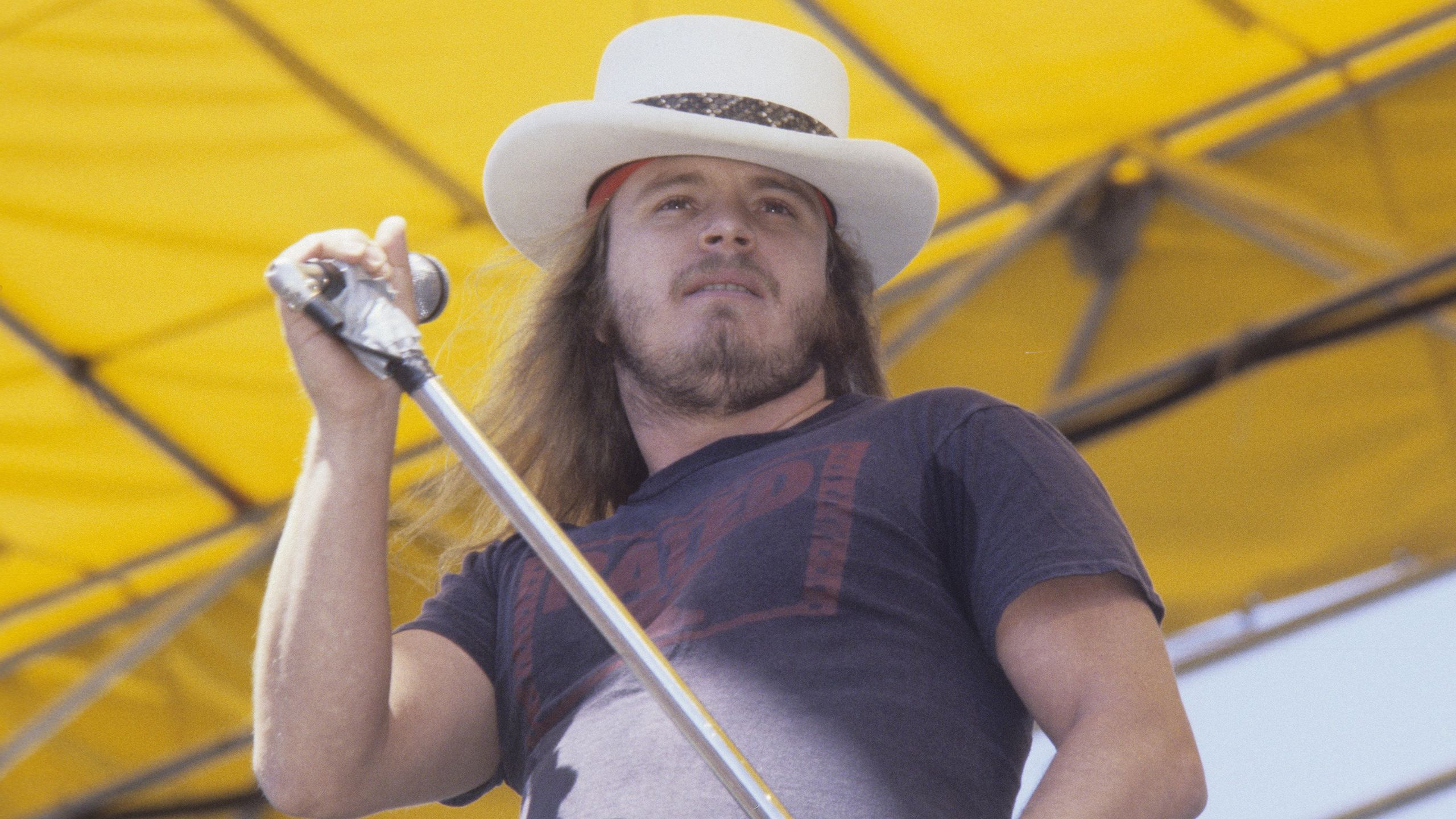 “When Ronnie sang about Neil Young in that song, that was kind of a ...