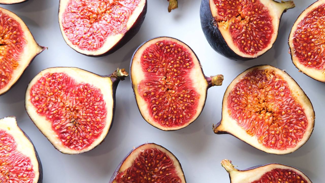 Growing Figs from Seeds: Harvest, Germination & Care Guide | Gardening ...