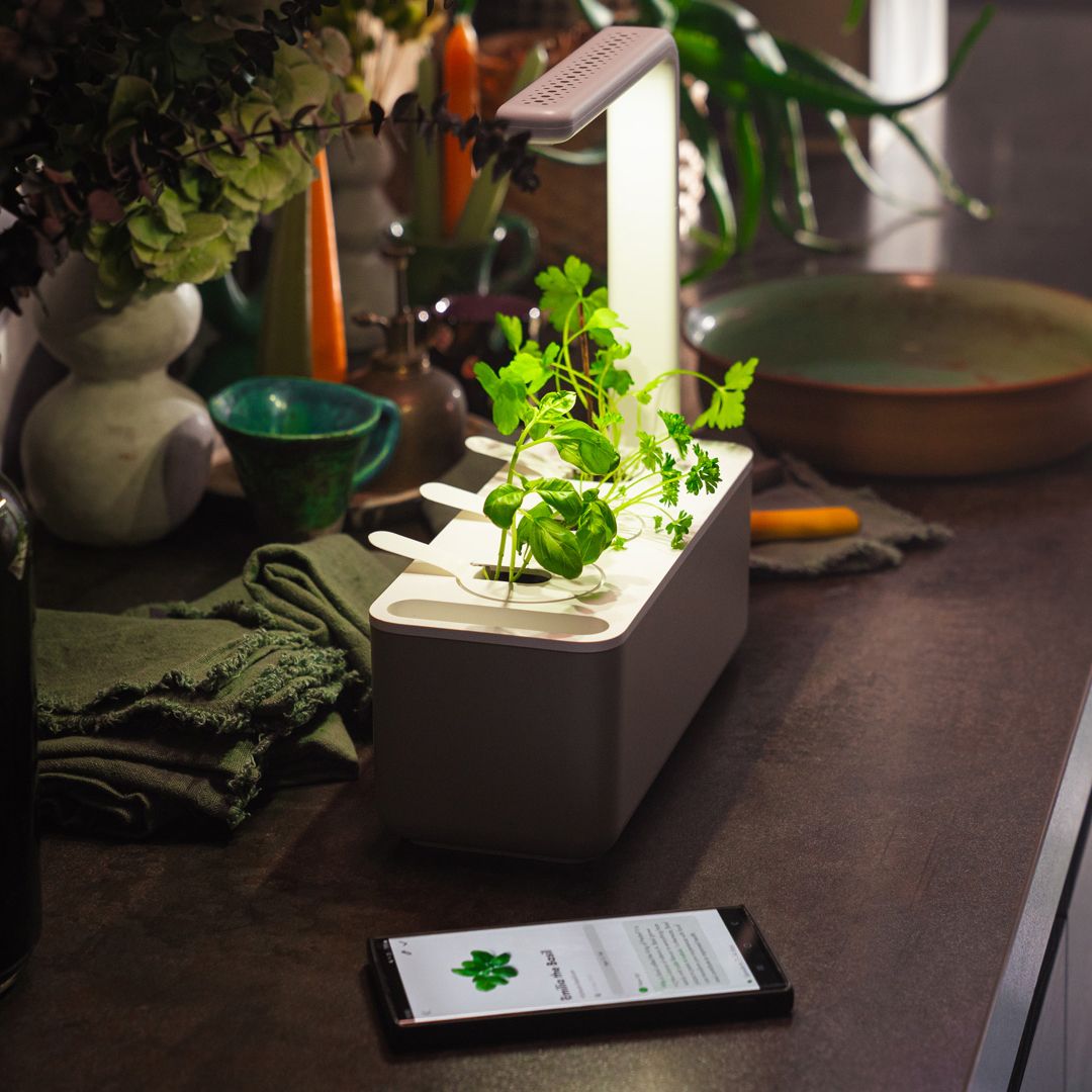 Disguise your Wi-Fi router with this clever TikTok viral IKEA hack ...