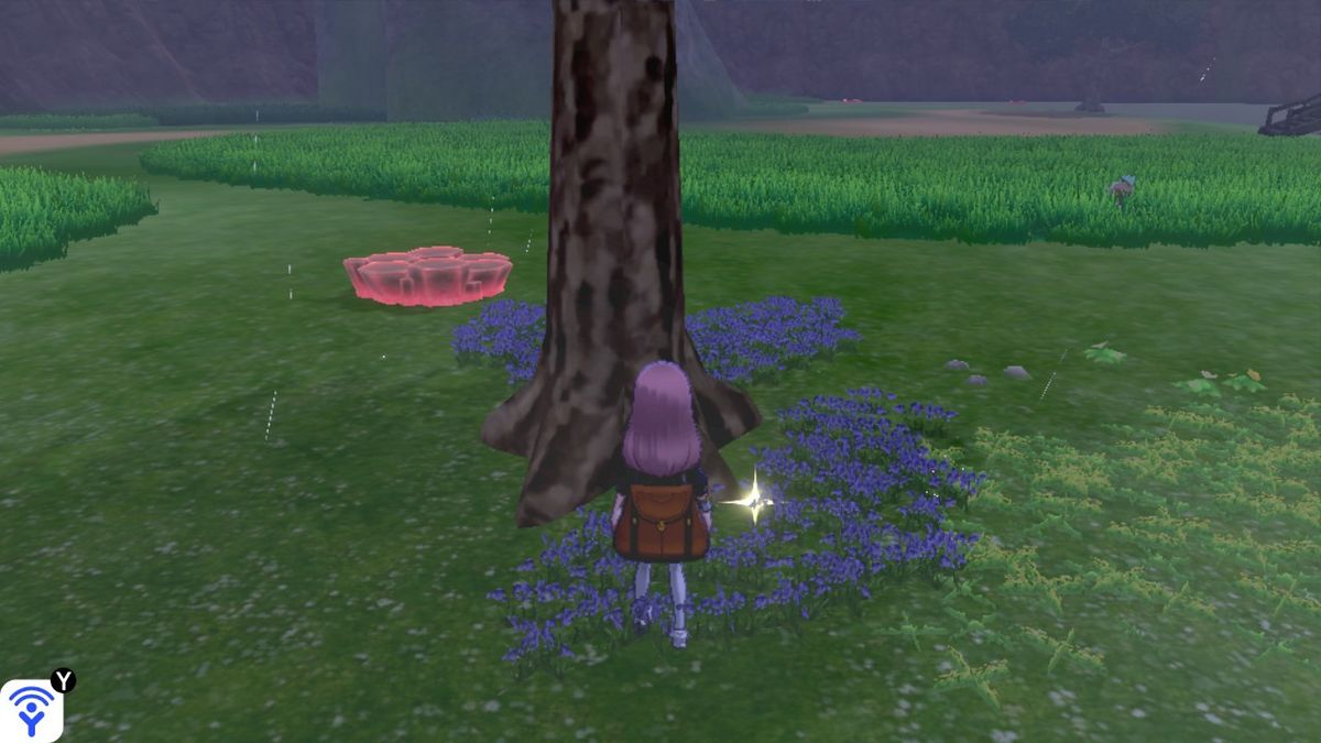 Pokémon Sword and Shield Wild Area: tips and tricks guide | TechRadar