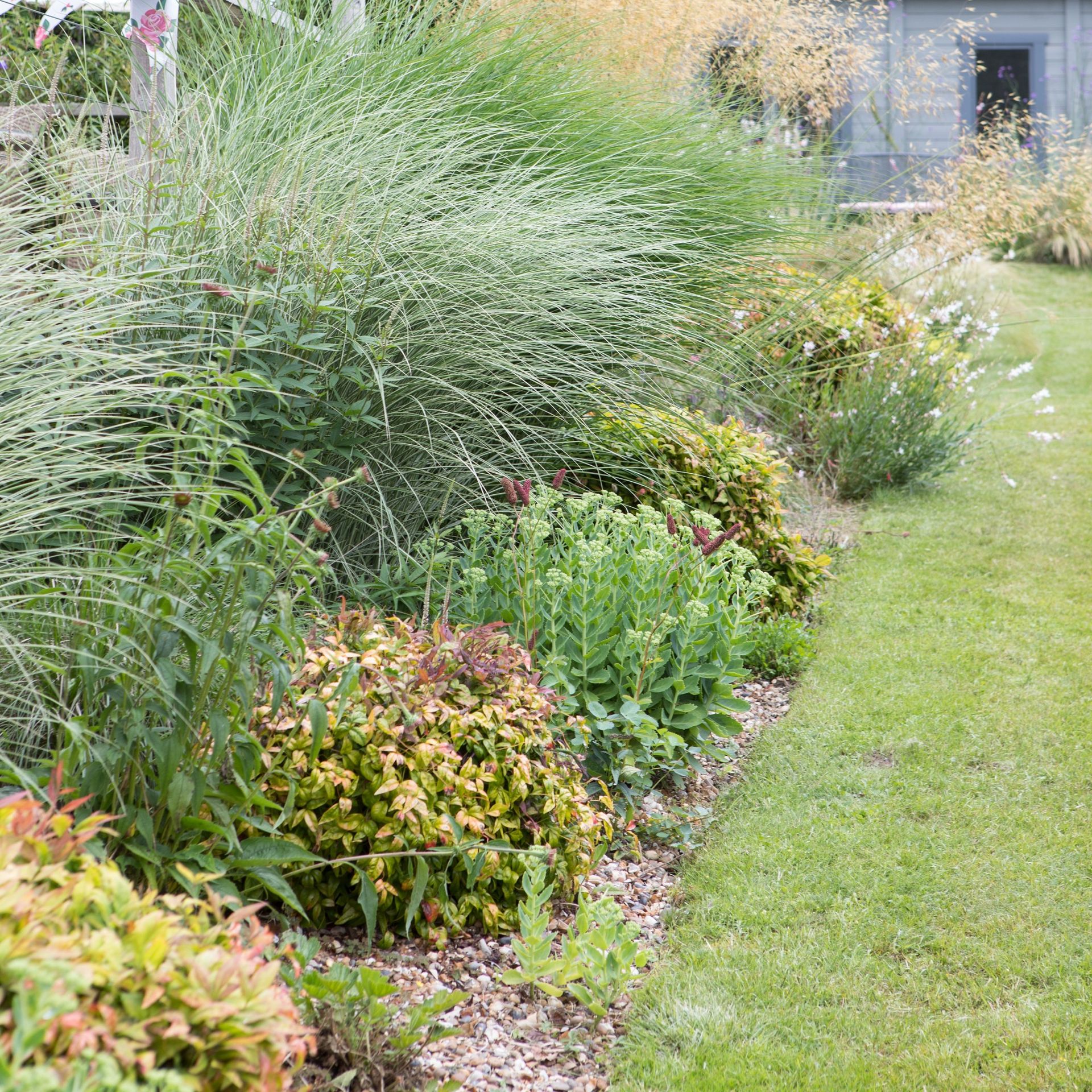 How to scarify a lawn – the secret to reviving grass | Ideal Home