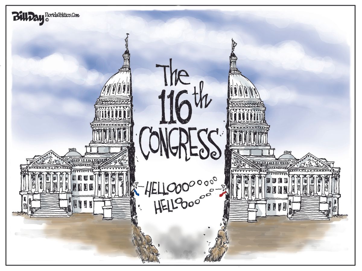 Political Cartoon U.S. congress divided | The Week