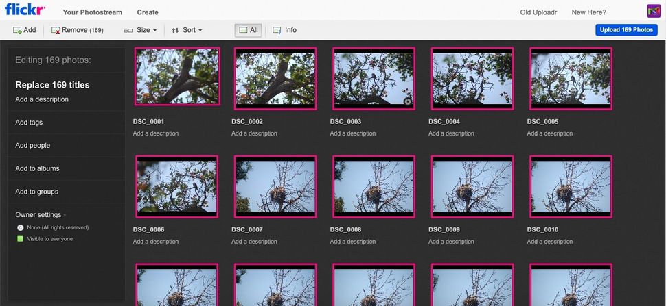Flickr cloud storage review | Tom's Guide