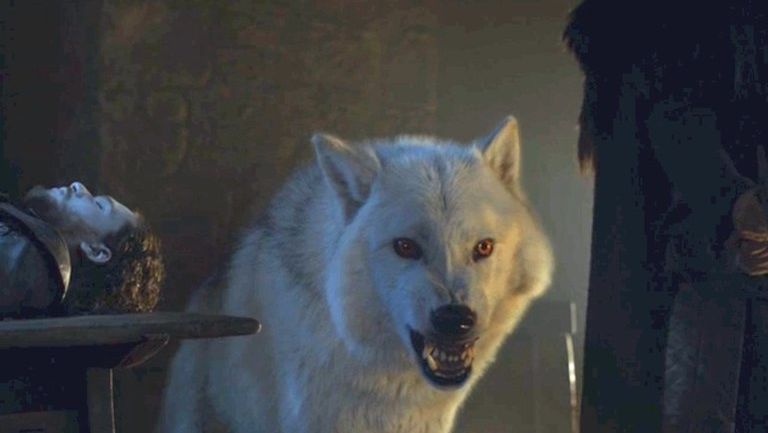 This Jon Snow-Ghost the Direwolf Theory on Game of Thrones Would ...