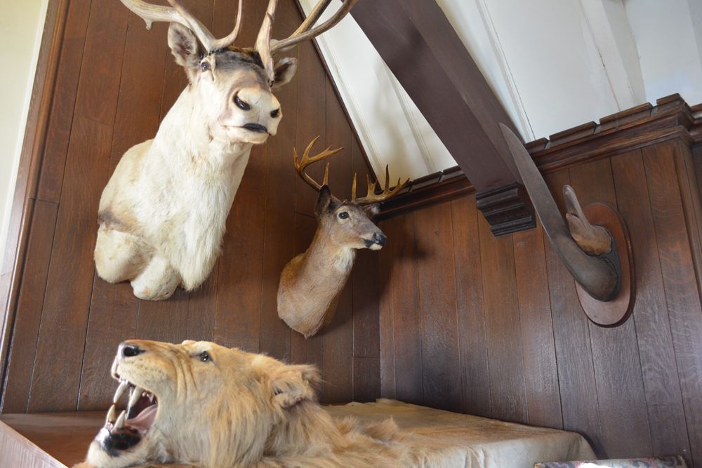 Photos: Inside the Explorers Club's NYC Headquarters: Page 2 | Live Science