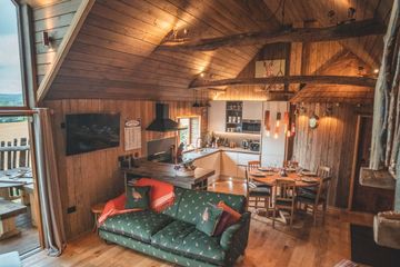 Amazing Treehouse Design Ideas: 10 Modern Treehouses That Inspire