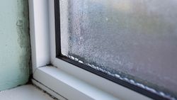 Mold vs. dust: How to tell the difference and remove both from your ...