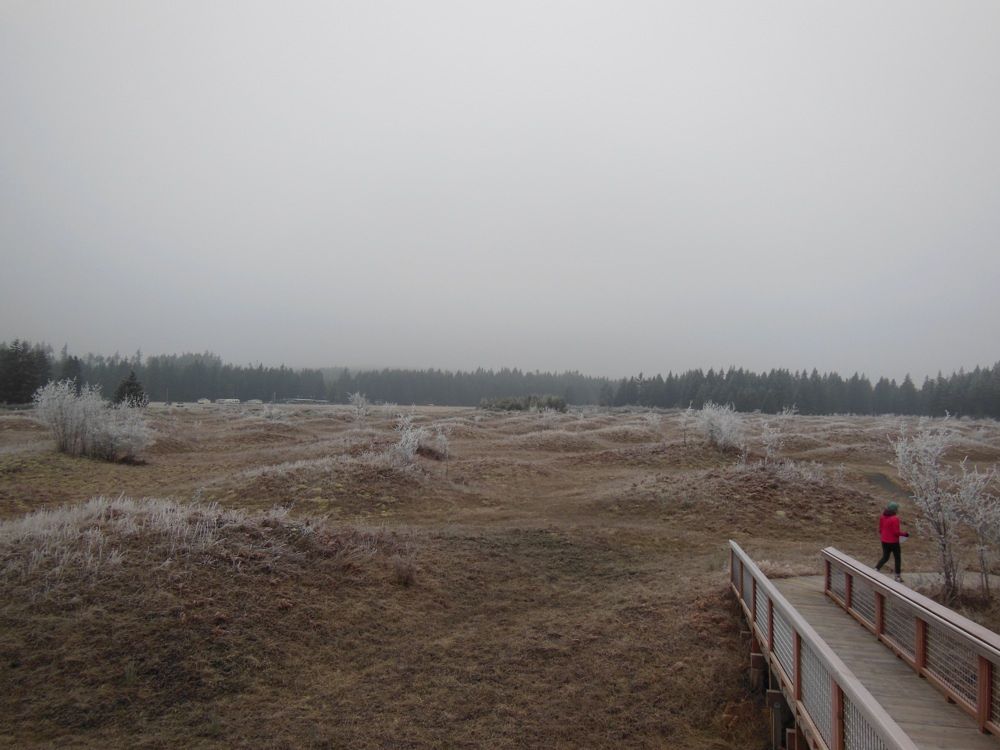 In Photos: Mima Mounds Around the World | Live Science