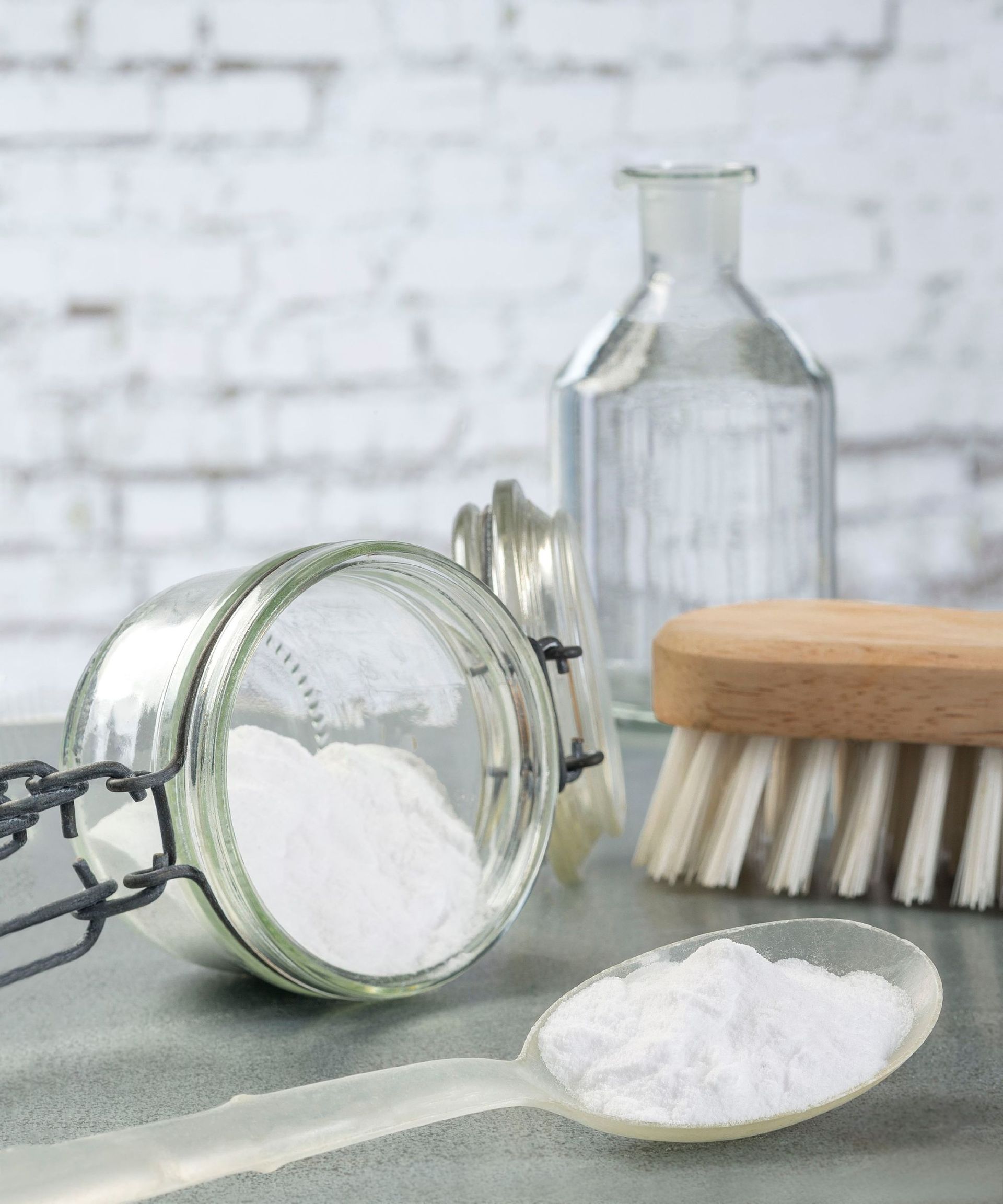 How to get rid of water bugs: 7 ways to banish these pests | Homes and ...