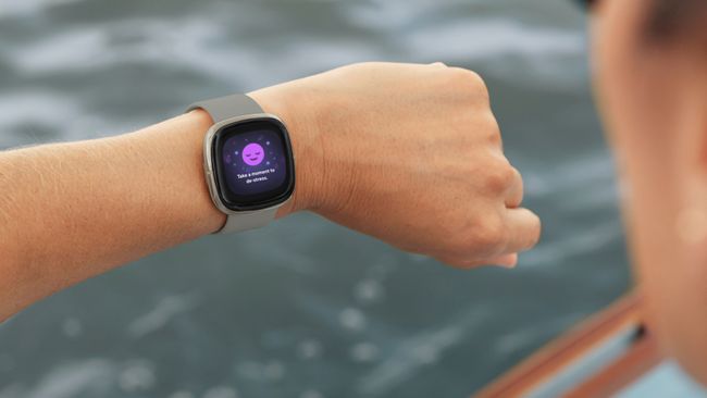 Fitbit Sense vs Fitbit Versa 3: Which is better? | Live Science