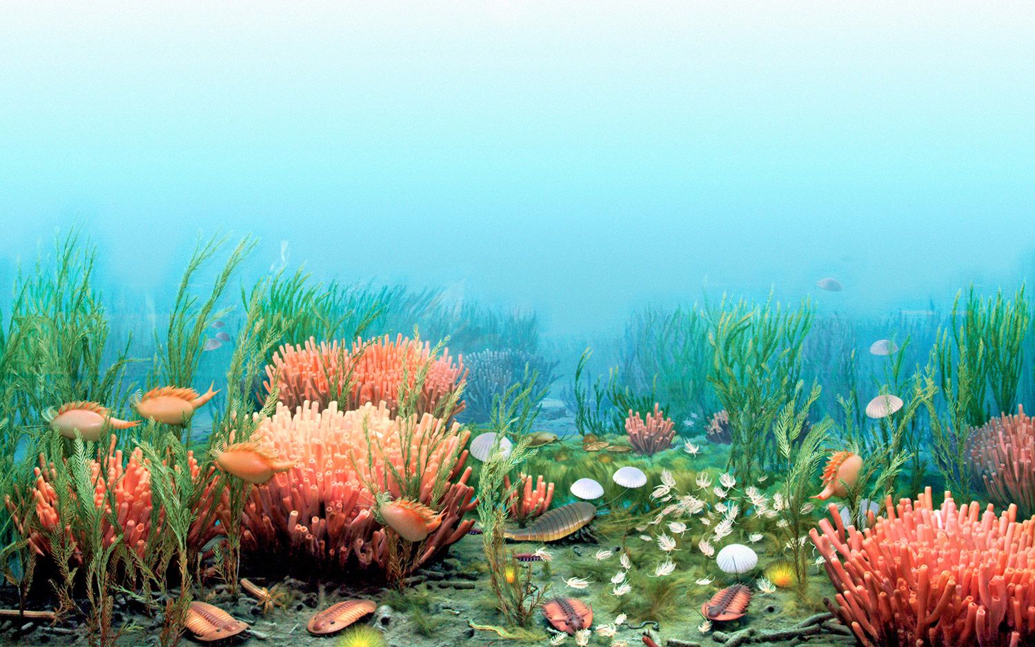 Earth's First Animals Sparked Global Warming, Too | Live Science