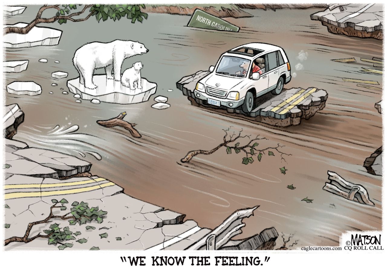 5 category 5 cartoons about hurricane Helene | The Week