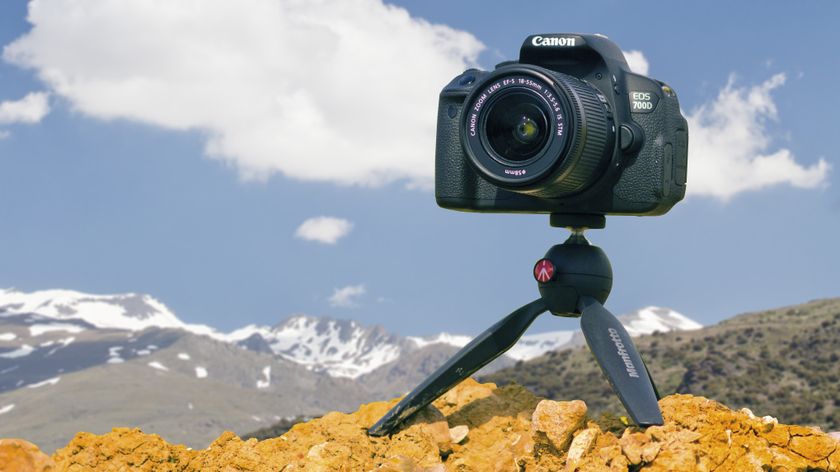 The best gimbals for mirrorless and DSLR cameras in 2025 | Digital ...
