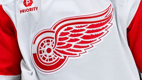 The new Detroit Red Wings logo is a soaring success | Creative Bloq