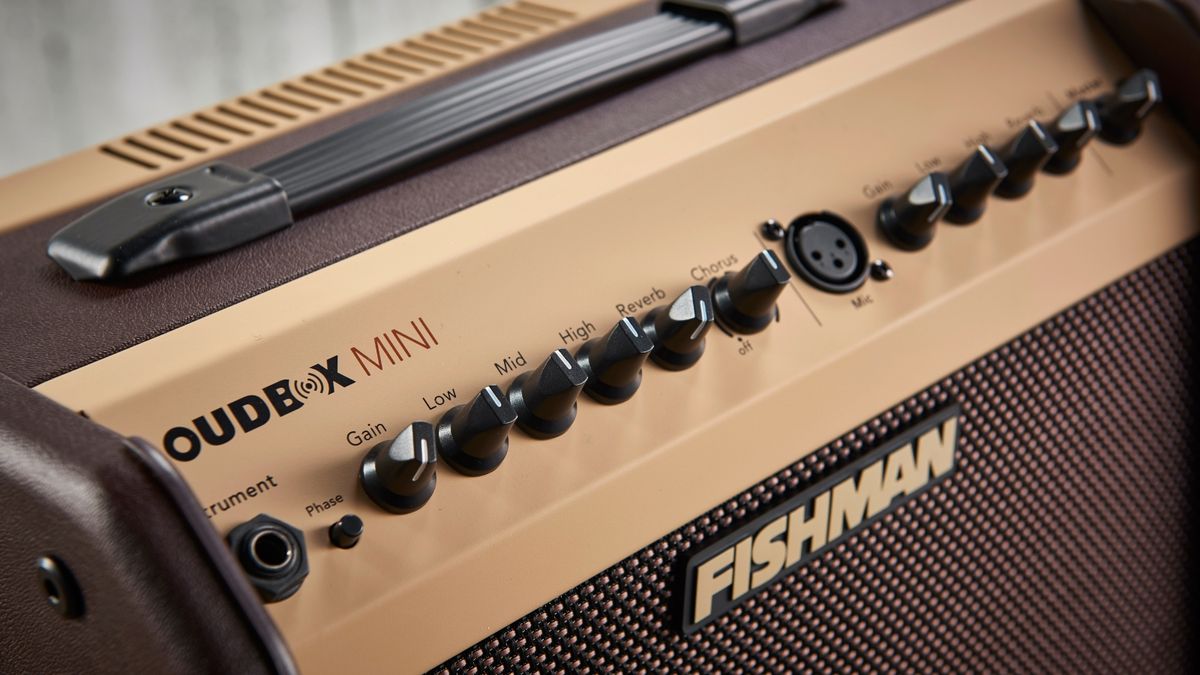 Best Acoustic Guitar Amps 2024: Top Acoustic Amplifiers | GuitarPlayer