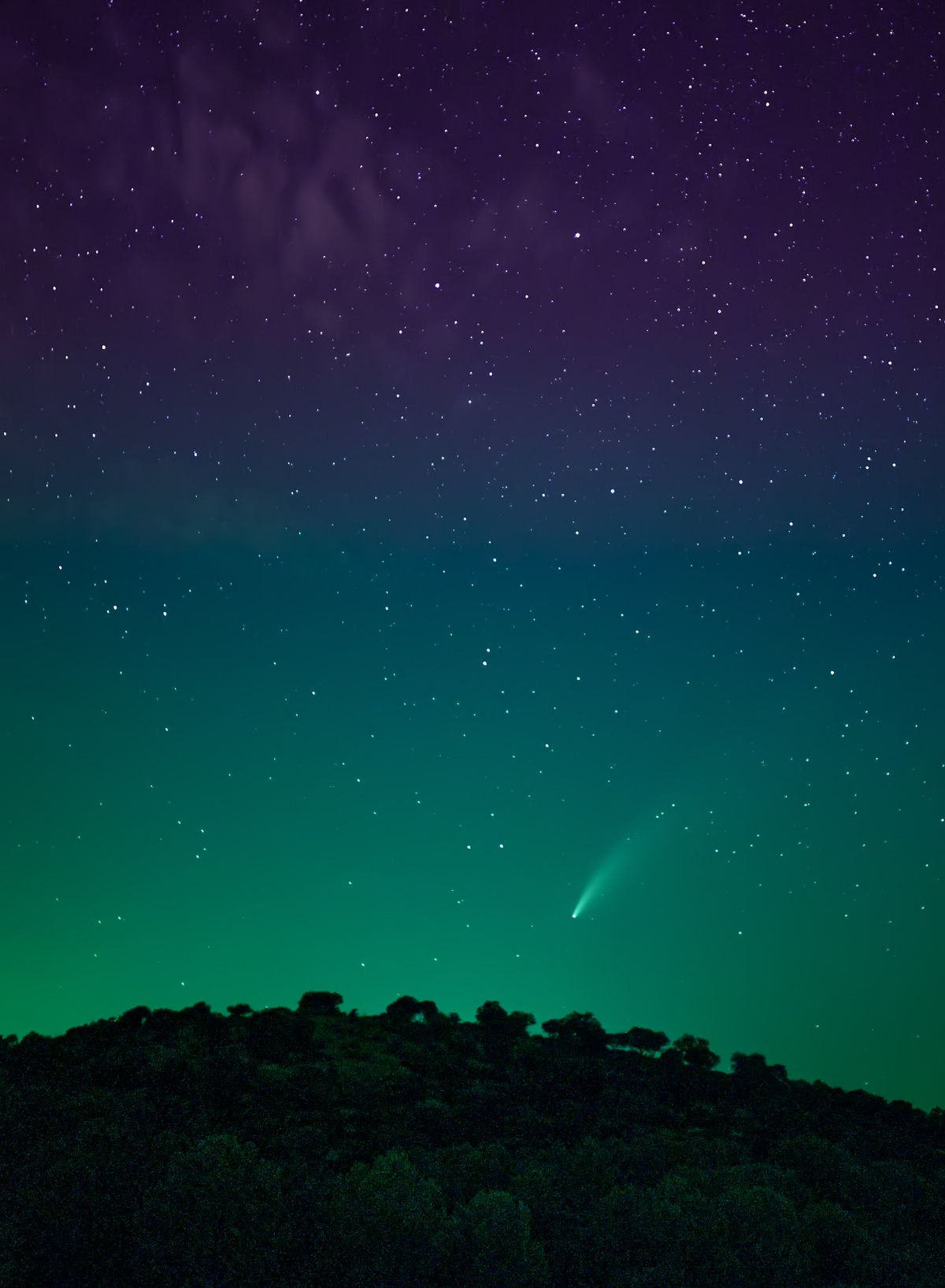 Astrophotography in February 2023: get set to shoot the green comet ...