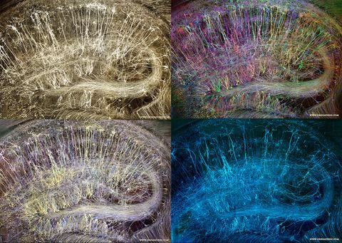 Dazzling Images of the Brain Created by Neuroscientist-Artist | Live ...