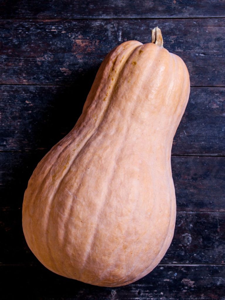 Harvesting Butternut Squash: How To Harvest Butternut Squash ...