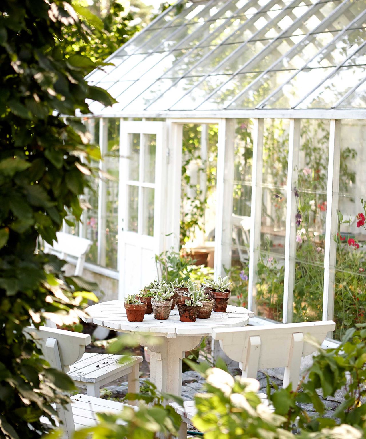 David Beckham doesn't use his greenhouse for growing plants | Homes and ...
