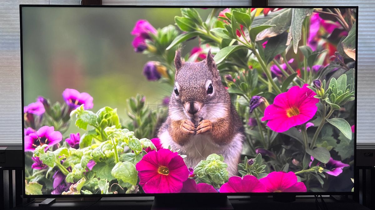 TCL QM8 Class review: a powerfully bright mini-LED TV that's priced ...