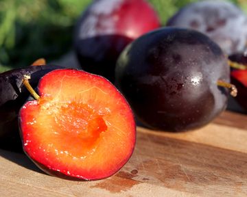 Greengages, plums and damsons – what's the difference? | Gardeningetc