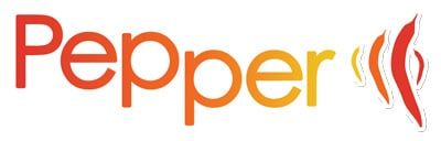 Developer Interview: David Hamilton, CTO and co-founder of Pepper ...