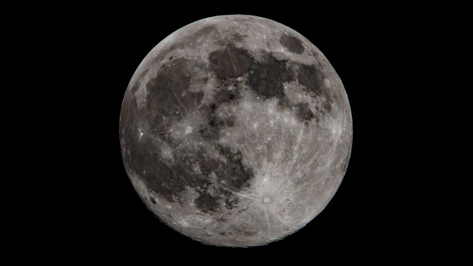 See stunning photos of November's full 'Beaver Moon' — the biggest ...