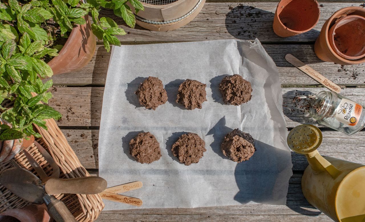 How to make wildflower seed bombs | Homes and Gardens