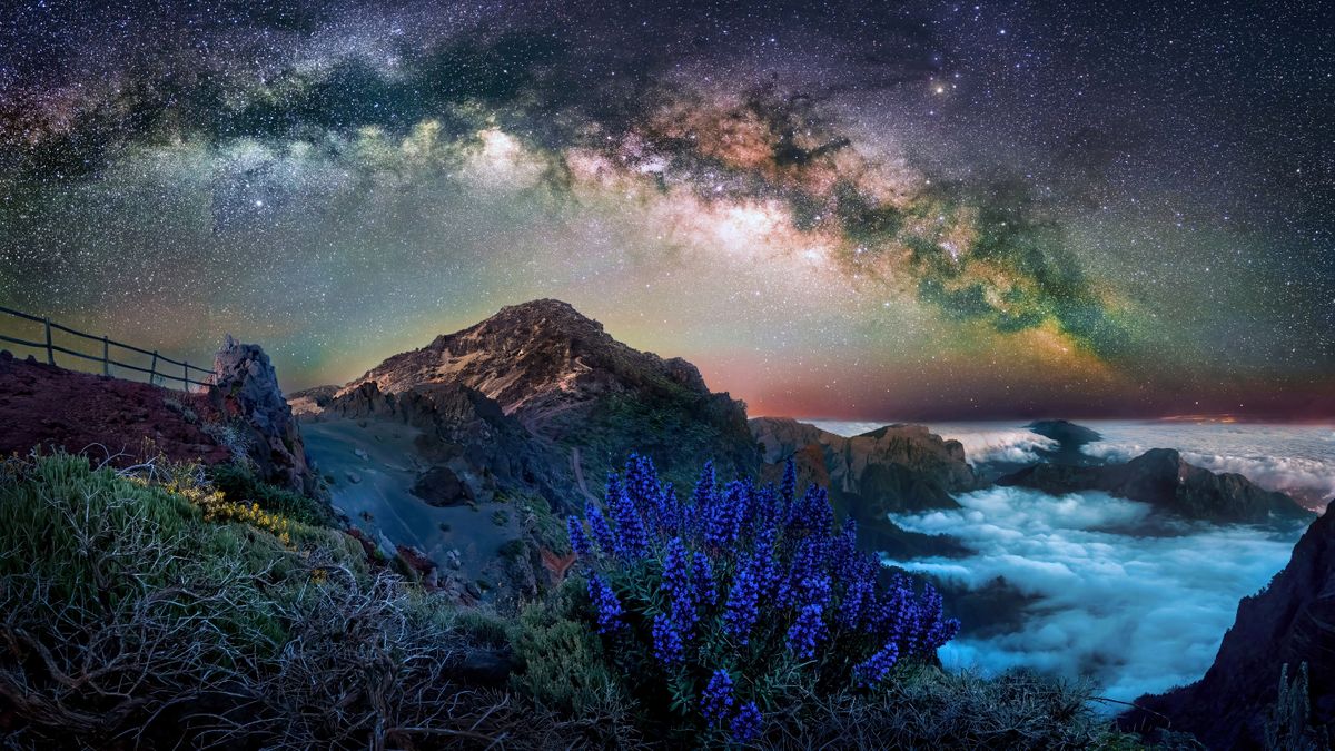 This competition entry is one of the best overall winning images we've ...