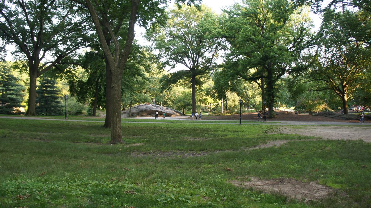 Central Park Geology Photos | Live Science