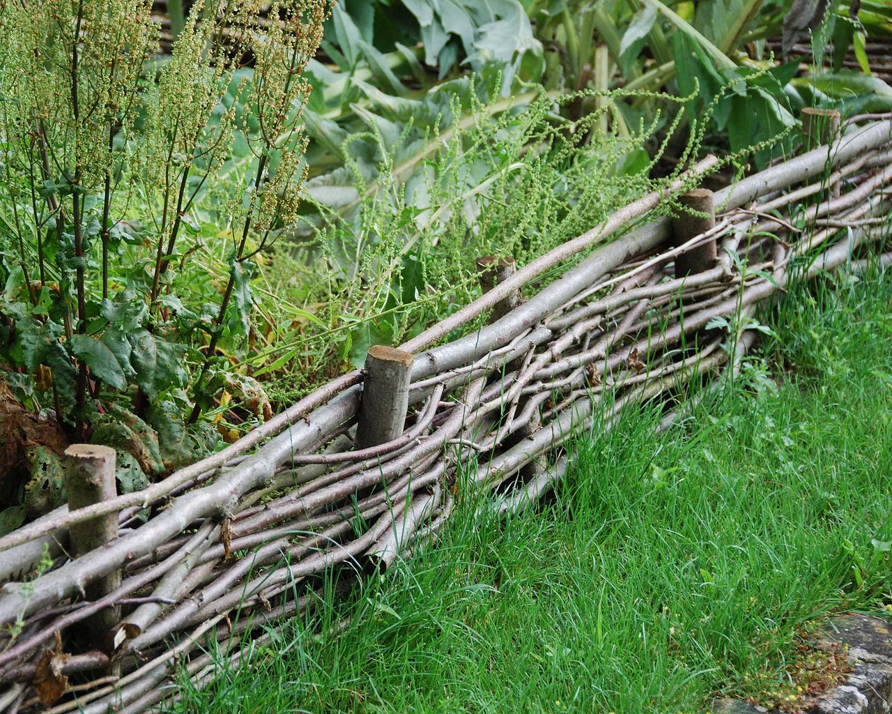 Lawn edging ideas: 15 ways to border your grass in style | Gardeningetc