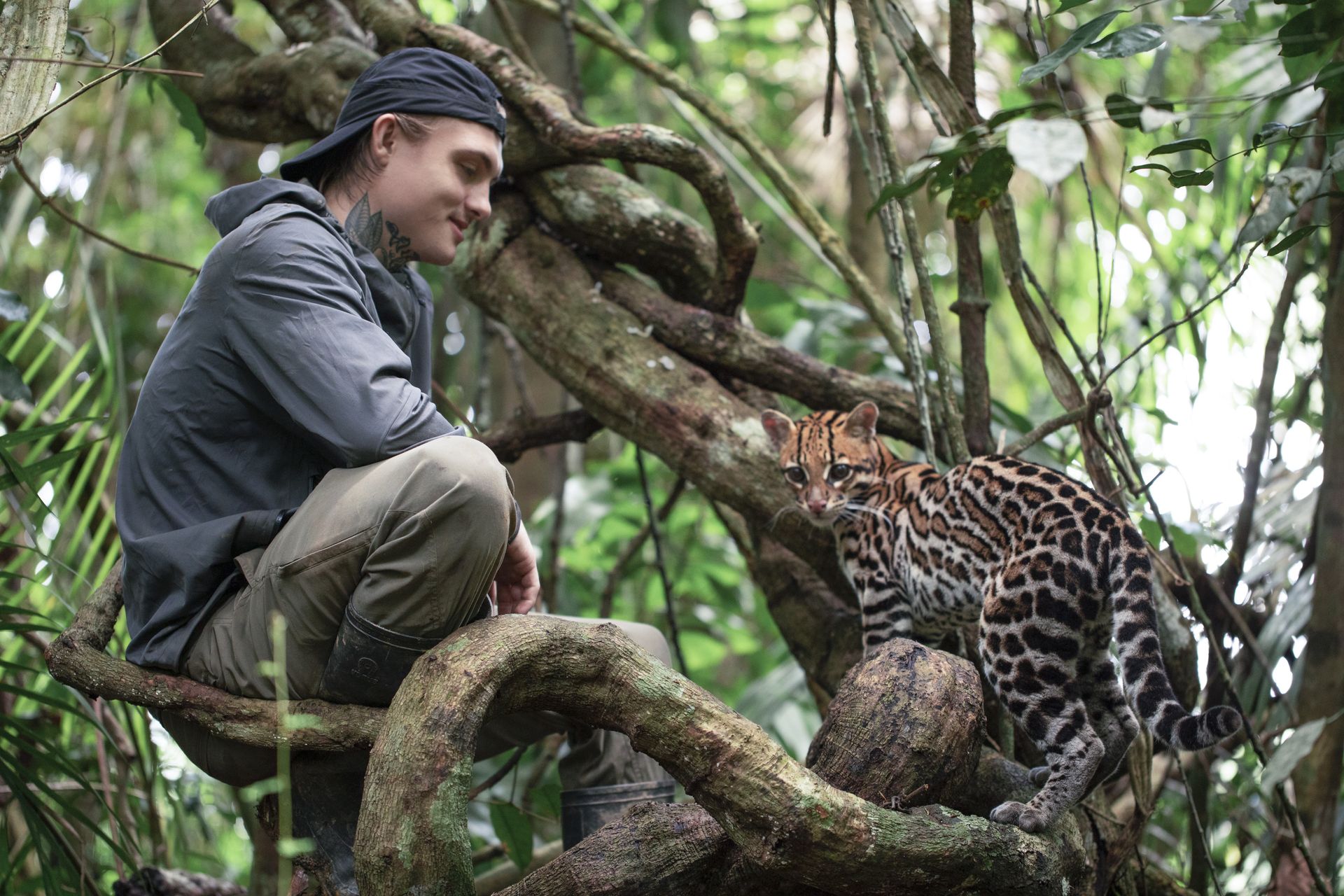 Wildcat: release date, first look, what happens, more | What to Watch