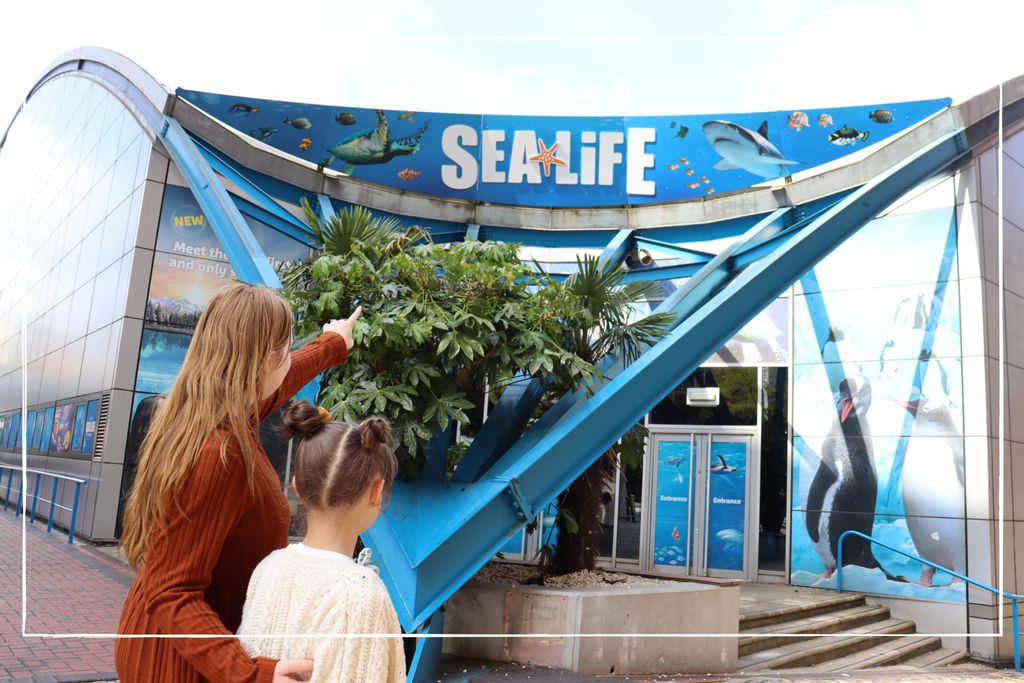 I took a four year old to Sea Life Birmingham - here's why it turned ...