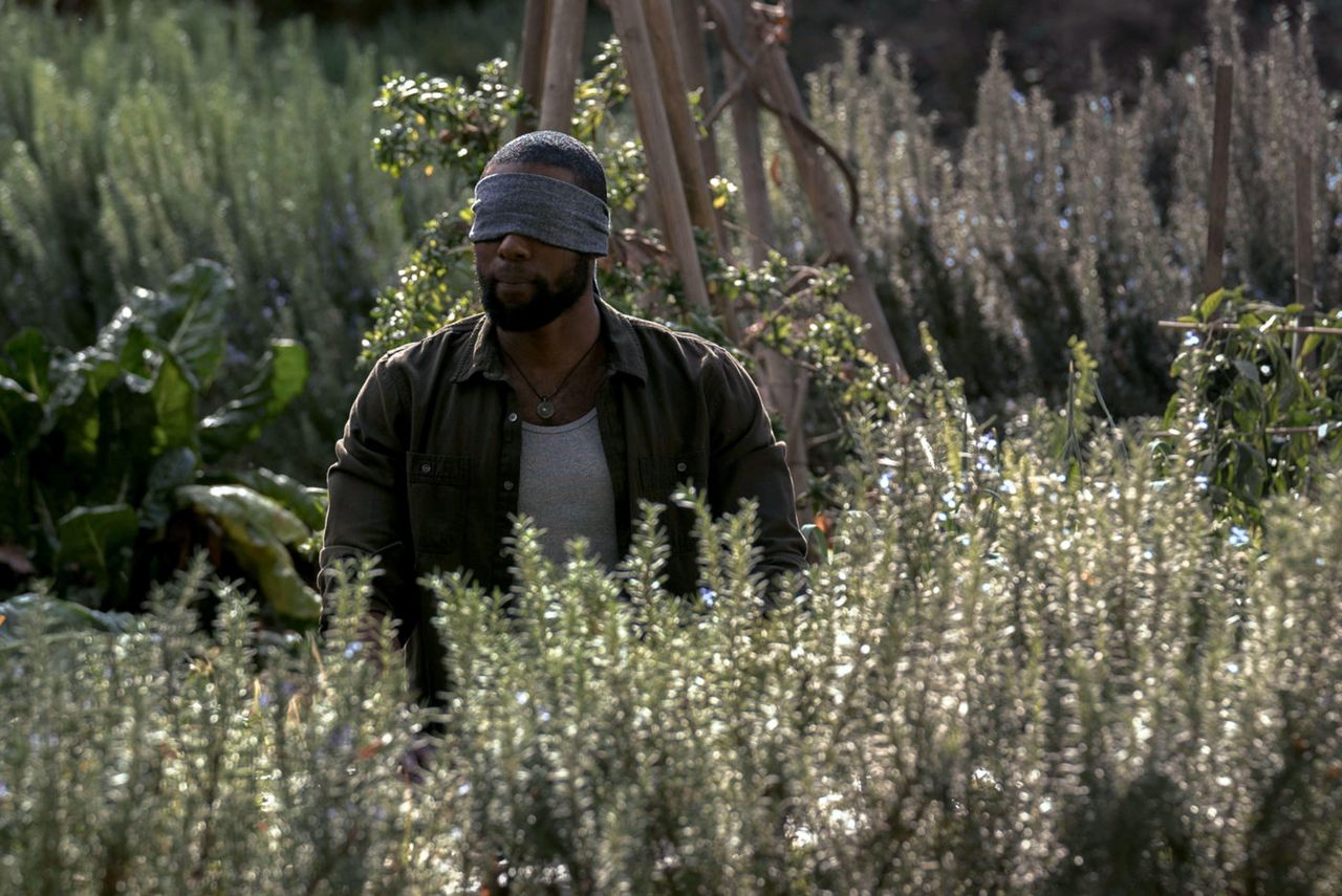 Everything we know about the Bird Box sequel | GoodtoKnow