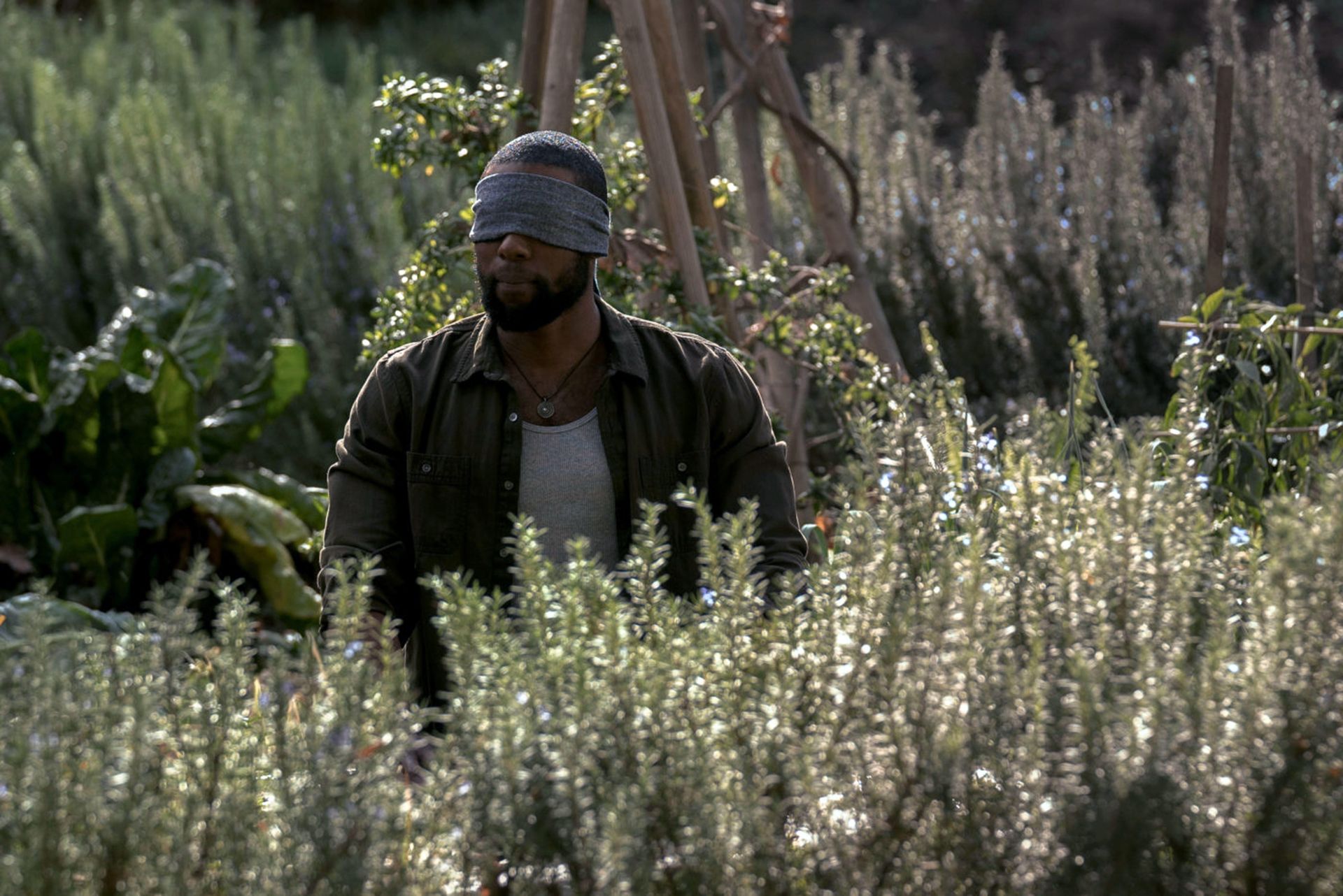 Everything we know about the Bird Box sequel | GoodtoKnow