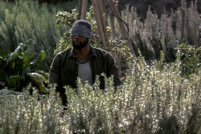 Everything we know about the Bird Box sequel | GoodtoKnow