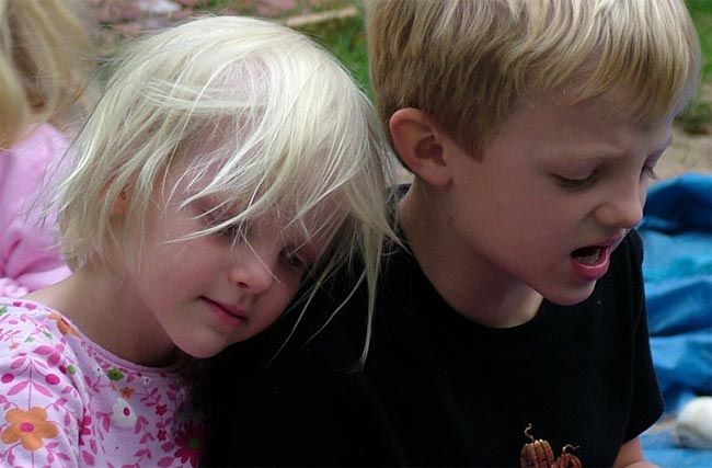 Research Reveals Secret Causes Of Sibling Spats Live Science