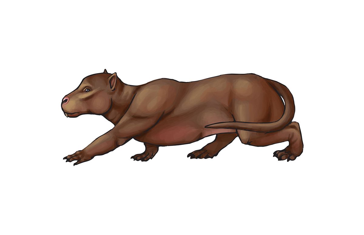 In Images: 'Field Guide' Showcases Bizarre and Magnificent Prehistoric ...