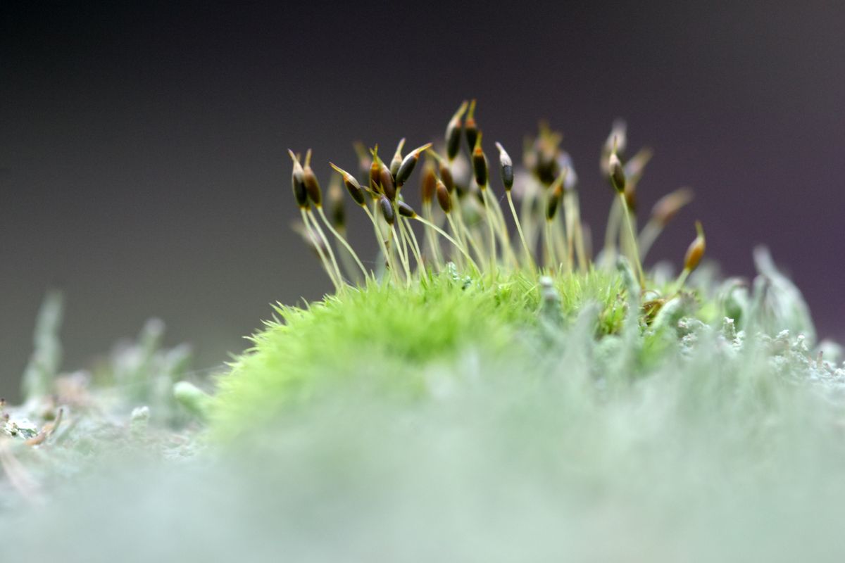 Ready for your close-up? Win thousands, thanks to new competition for ...