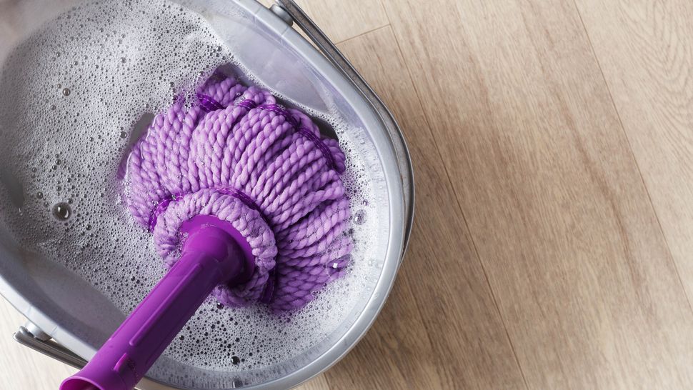 How to properly disinfect your cleaning tools | Tom's Guide