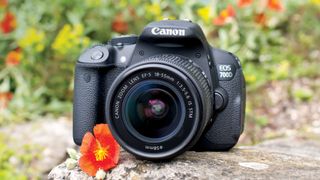 Best full frame dslr cameras 2018 on a budget - franchisefeti