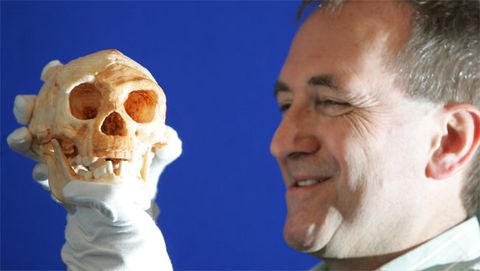 Image Gallery: A Real-Life Hobbit | Homo Floresiensis | Live Science