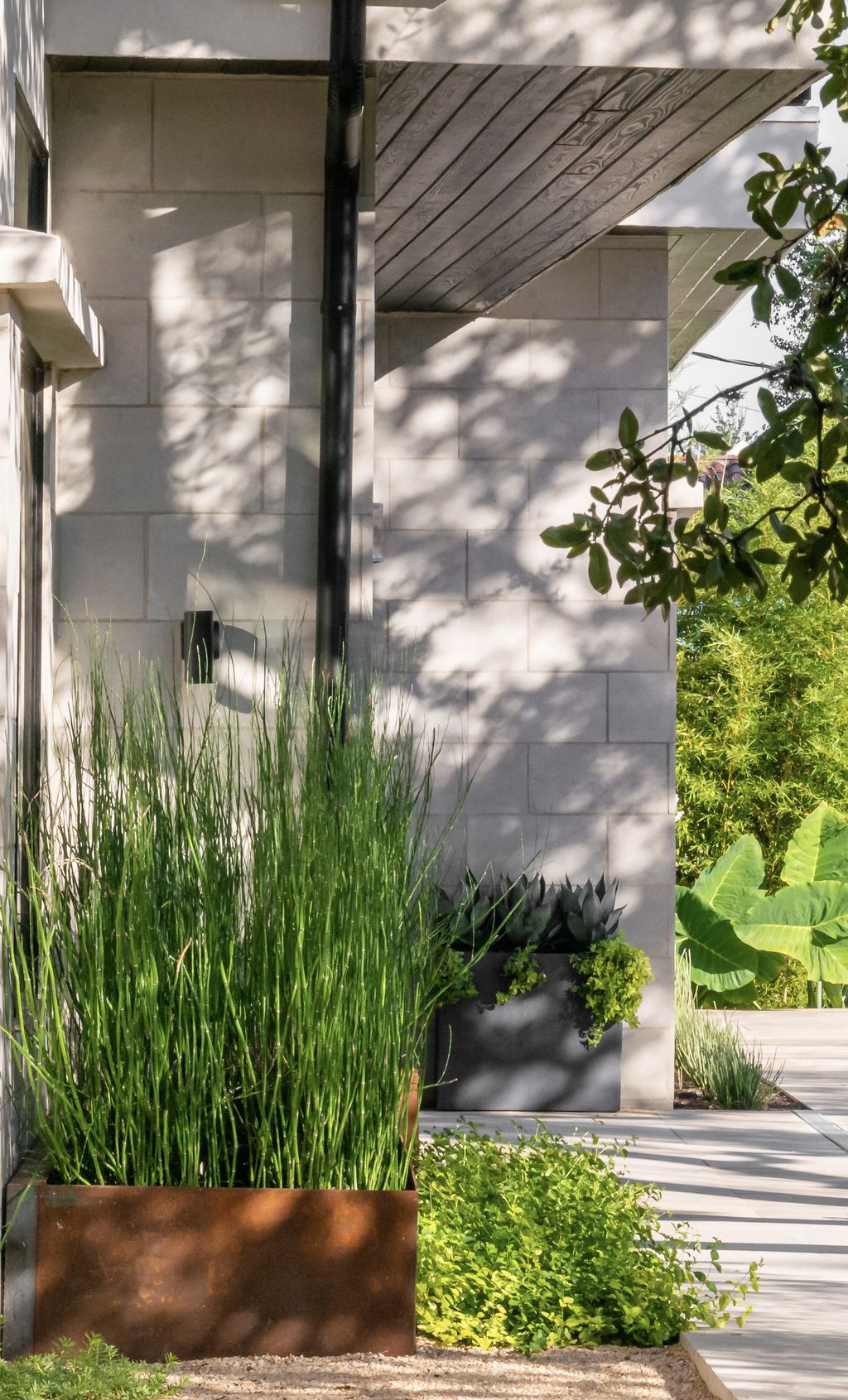 7 front door plants that make your home look more welcoming | Livingetc