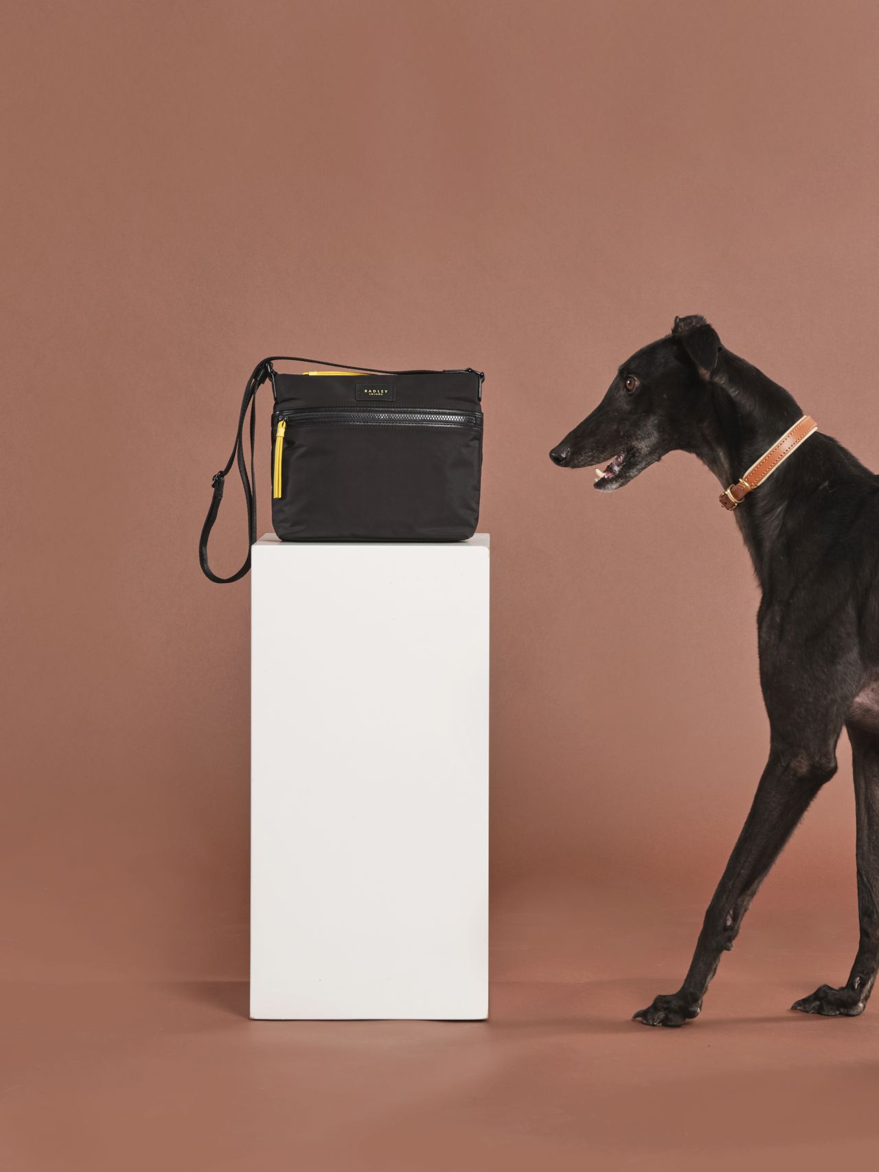Radley's Dogs Trust collection is modelled by eight adorable rescue ...