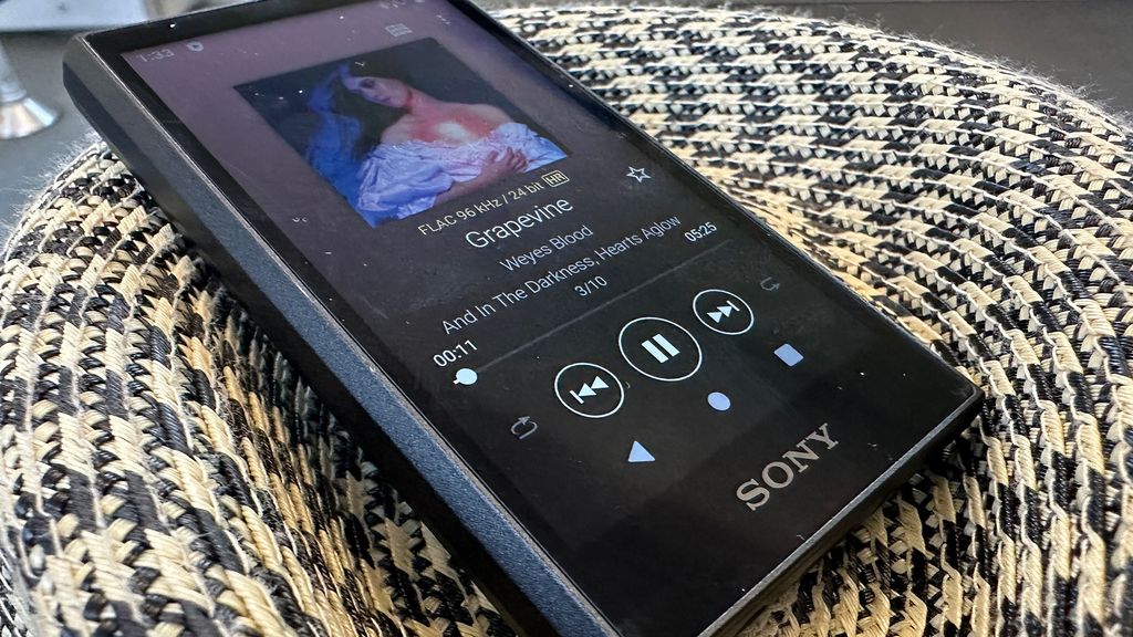 Sony NW-A306 review: a small but mighty digital audio player with a ...