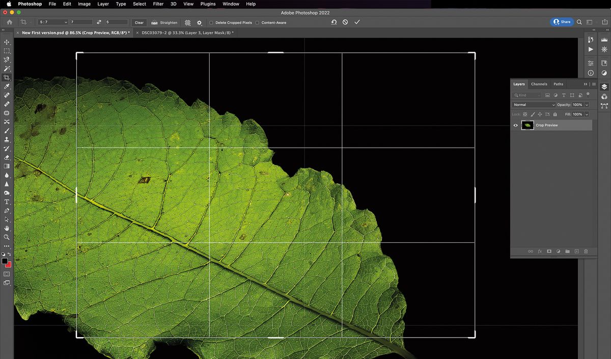 Create botanical photo art with microscopic insights | Digital Camera World